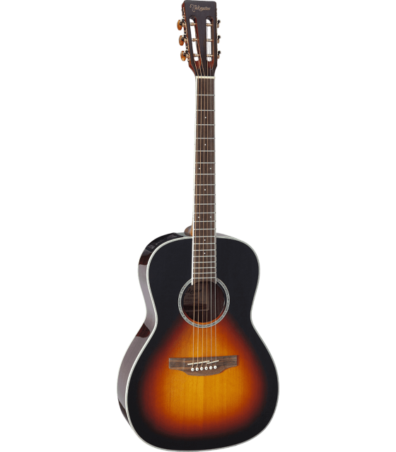 Guitares Webstore : votre Magasin Rome Instruments à Paris VIII